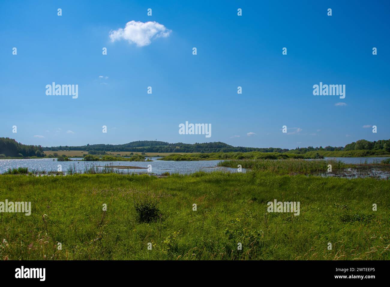 Ulmener bach hi-res stock photography and images - Alamy