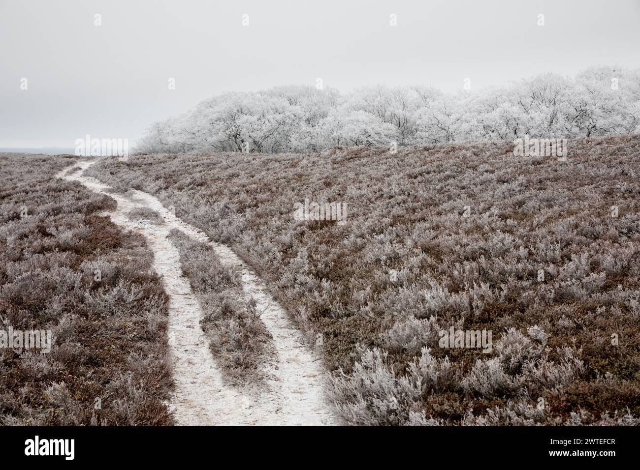 FARM TRACK, JURMO, REMOTE BALTIC SEA ISLAND, IN FREEZING FOG: A snow ...