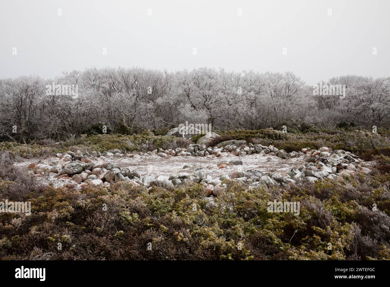 JURMO, REMOTE BALTIC SEA ISLAND, IN FREEZING FOG: A foggy winter day in ...