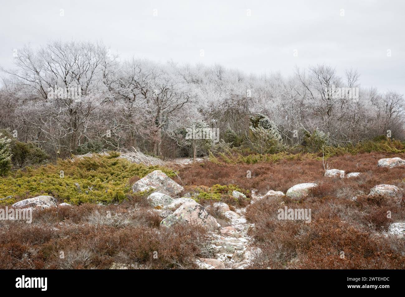 JURMO, DESOLATE, REMOTE BALTIC SEA ISLAND, FREEZING FOG: A landscape of ...
