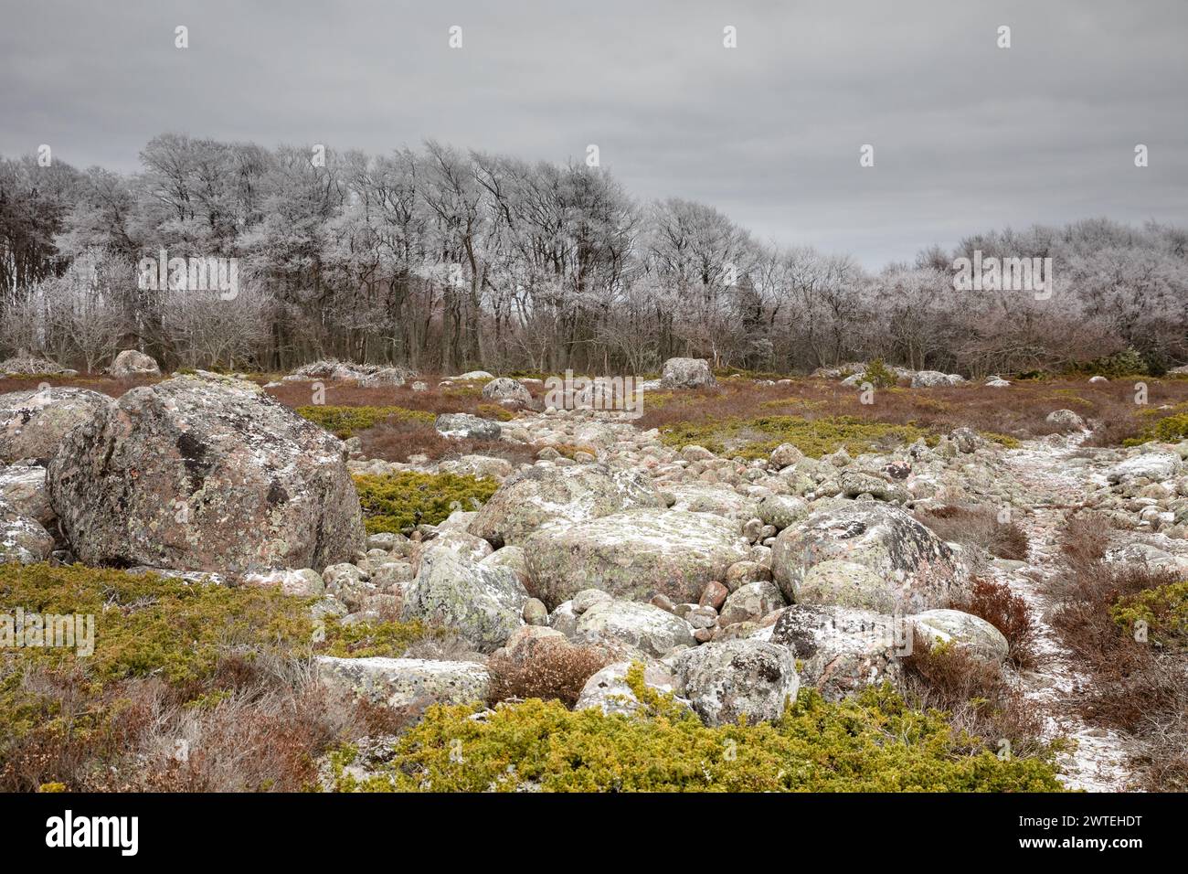 JURMO, DESOLATE, REMOTE BALTIC SEA ISLAND, FREEZING FOG: A landscape of ...