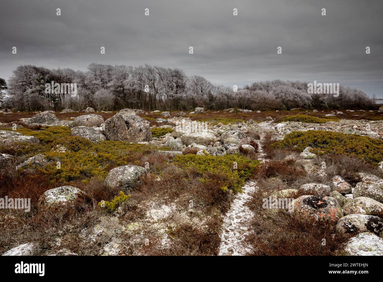 JURMO, DESOLATE, REMOTE BALTIC SEA ISLAND, FREEZING FOG: A landscape of ...
