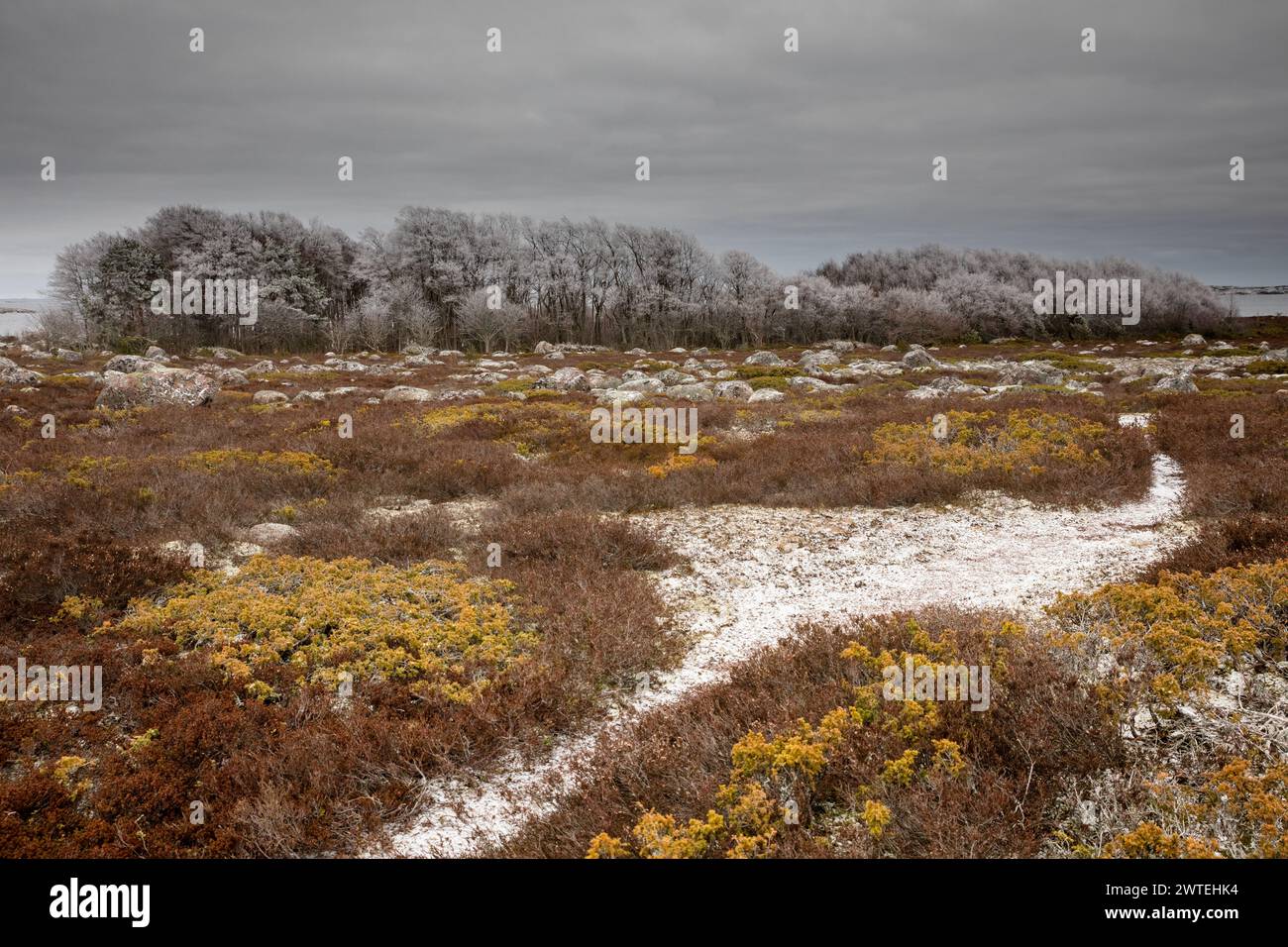 JURMO, REMOTE BALTIC SEA ISLAND, IN FREEZING FOG: A foggy winter day in ...