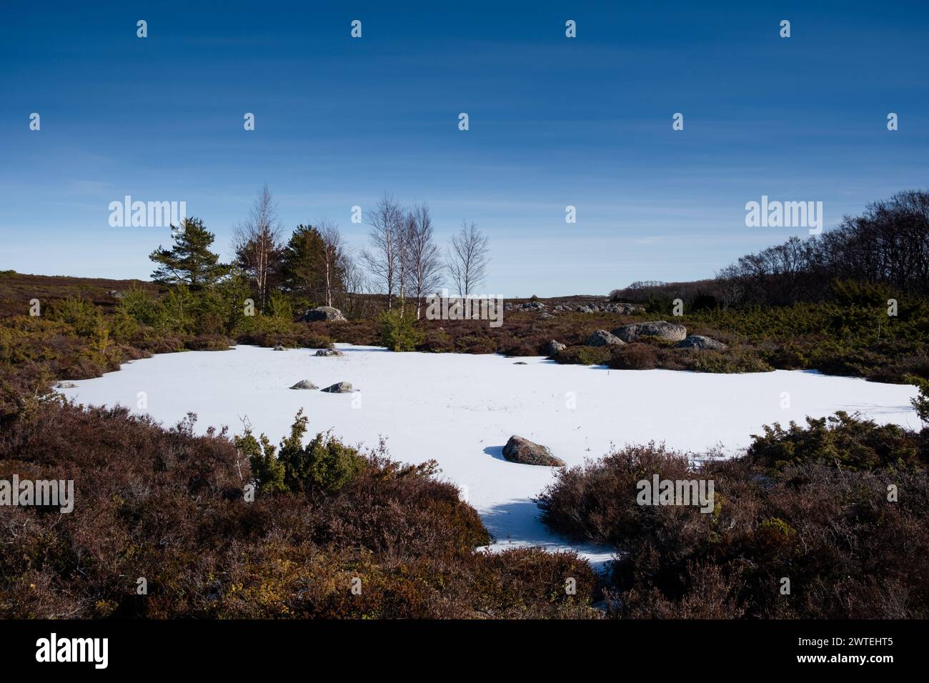 JURMO, REMOTE BALTIC SEA ISLAND, WINTER SUNSHINE: Baltic Sea landscape ...