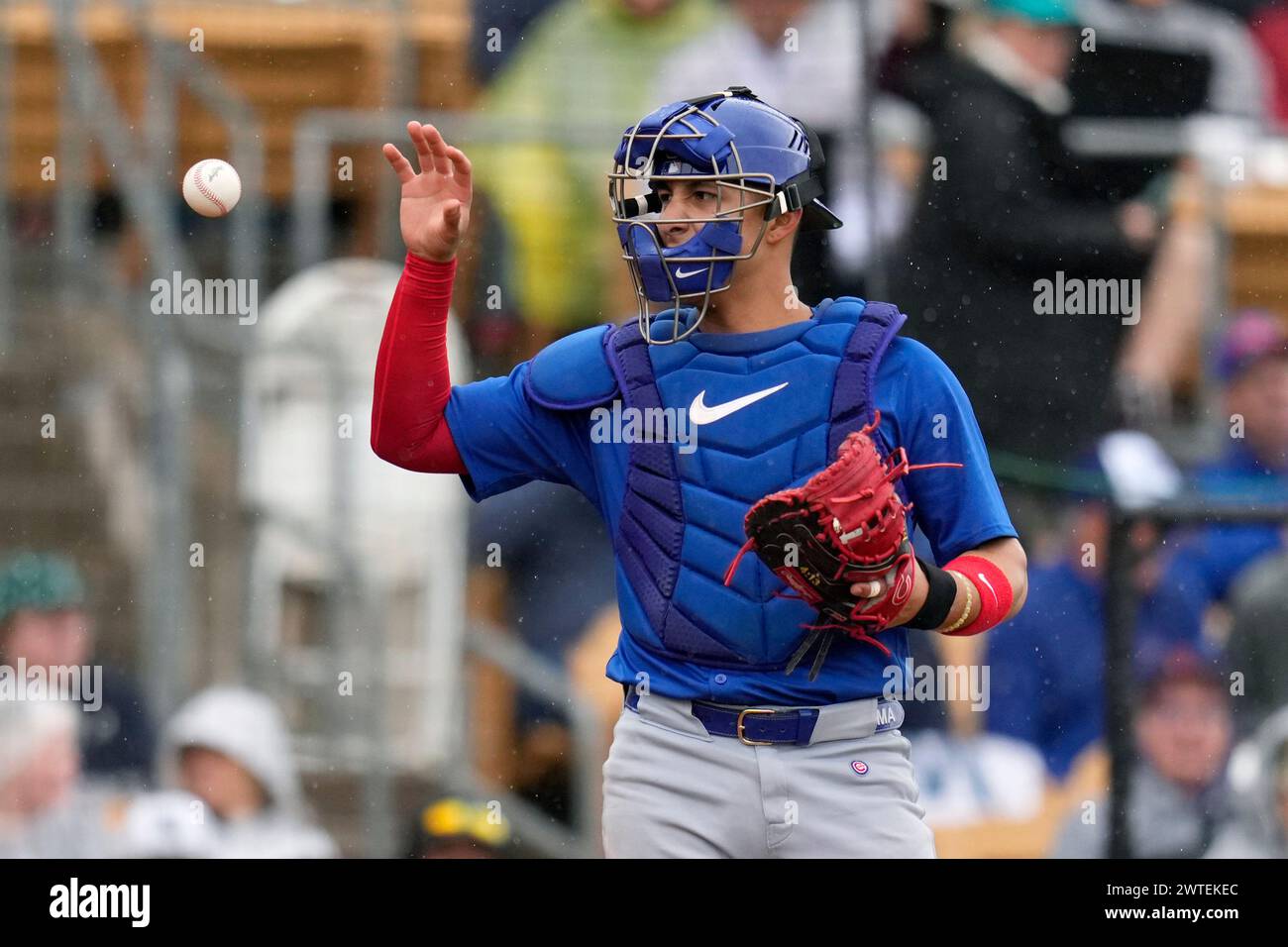 Chicago Cubs catcher Miguel Amaya reaches for the ball during the ...