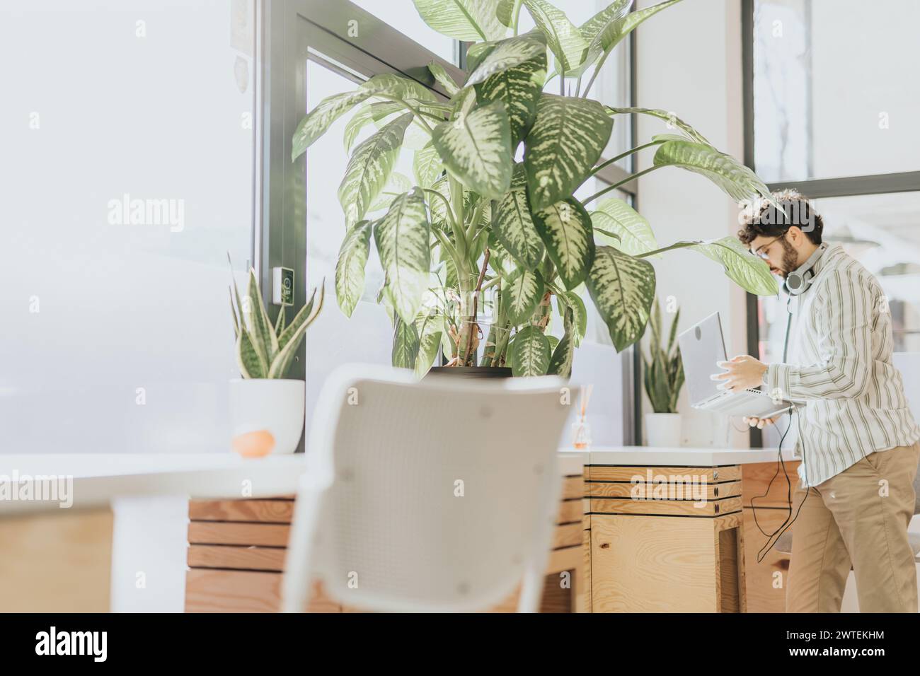 Young employee discussing project in sunlit office, strategizing ...