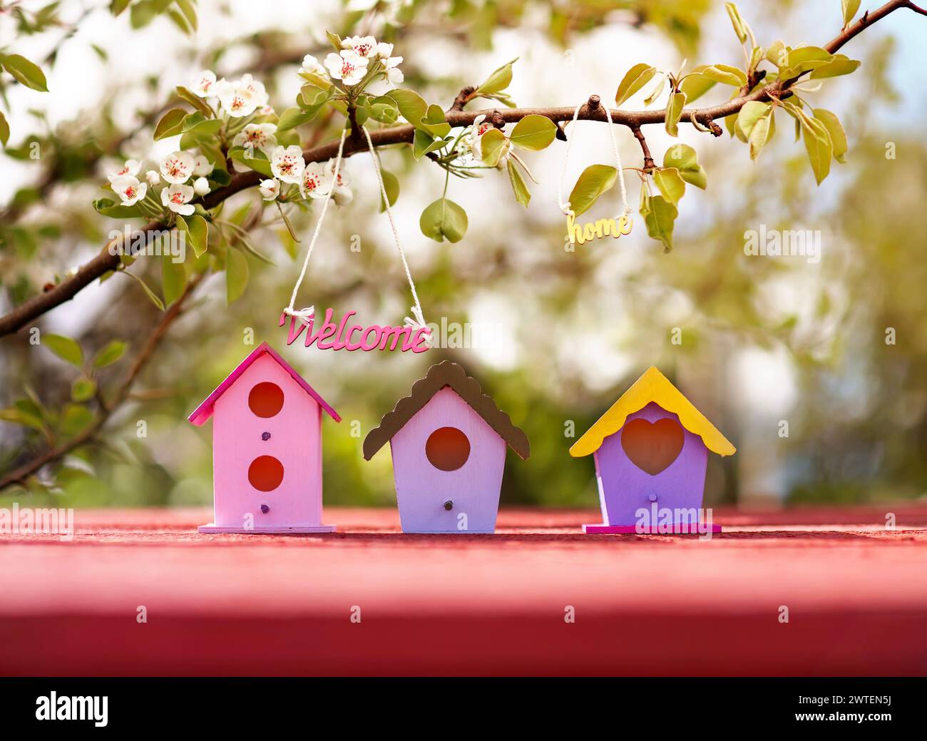 many colorful birdhouses stand in a sunny spring blooming garden ...