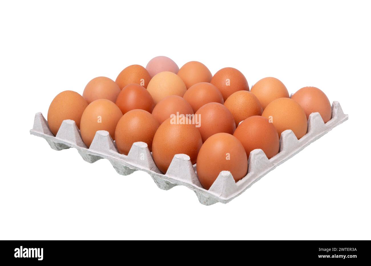 Egg. Raw chicken eggs packing in egg carton box Stock Photo - Alamy
