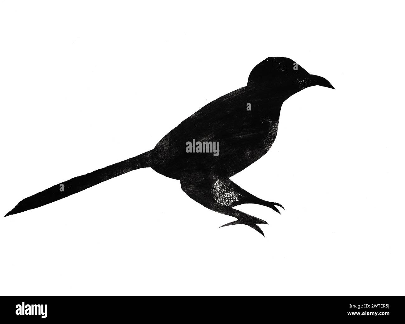 Silhouette of sitting bird drawn by hand with stamp with black tempera ...