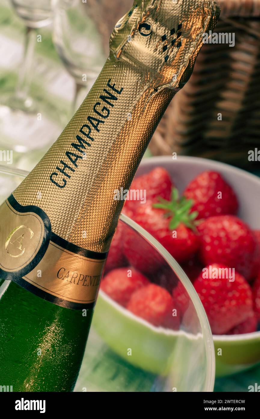 Champagne bottle in wine chiller retro vintage old style theme with ...