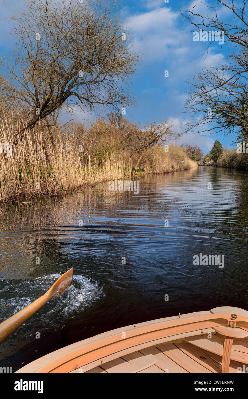 Row rowing oar water exercise alone nature sun freash air hi-res stock ...