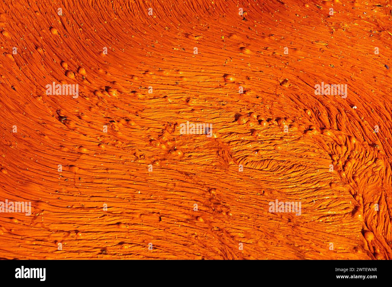 Dirty red foam on the surface of the sewer Stock Photo - Alamy