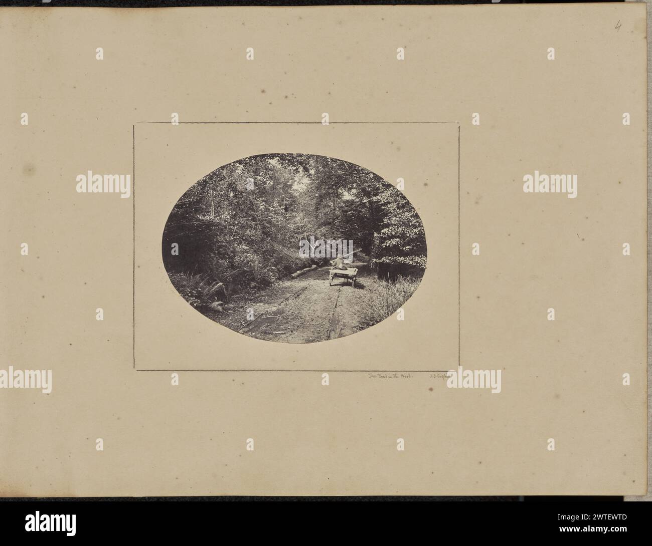 The Road in the Wood. Sir John Joscelyn Coghill, photographer (Irish ...