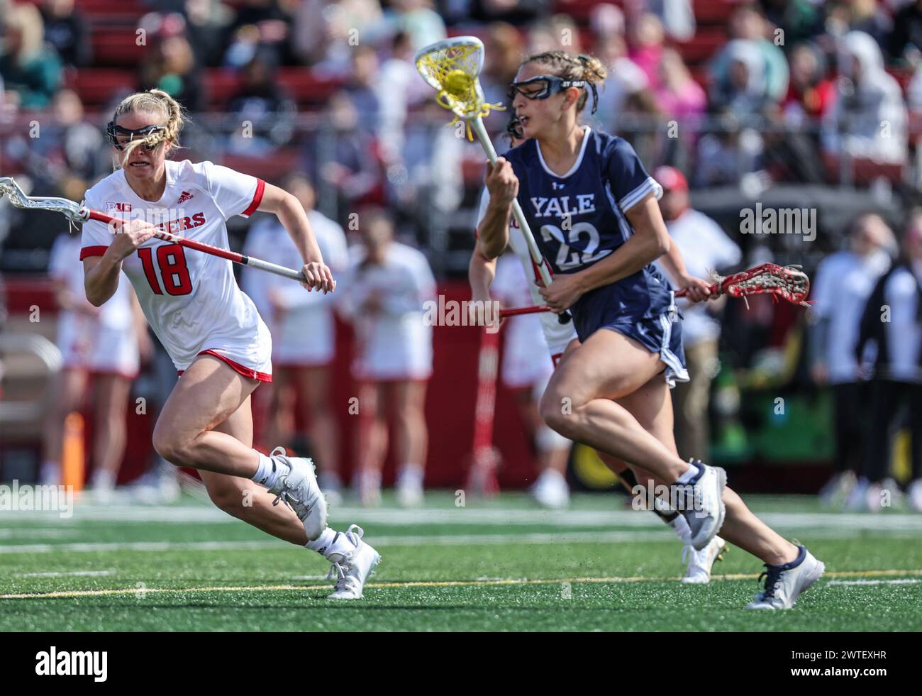 Piscataway, NJ, USA. 17th Mar, 2024. Yale defender Bella Saviano (22 ...