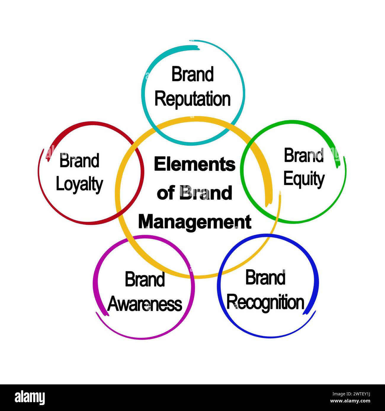 Five Components of Brand Management Stock Photo - Alamy