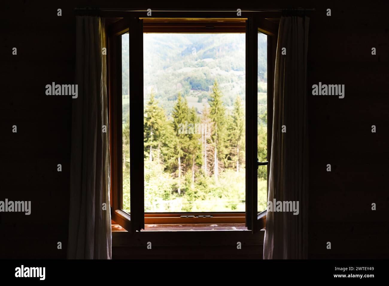 Looking out of a window during early morning to a relaxing view of ...