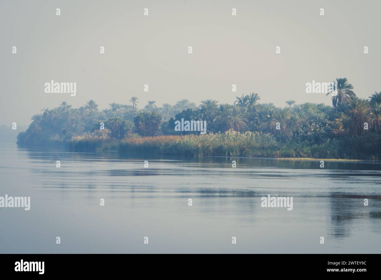Palm tree river nile hi-res stock photography and images - Alamy