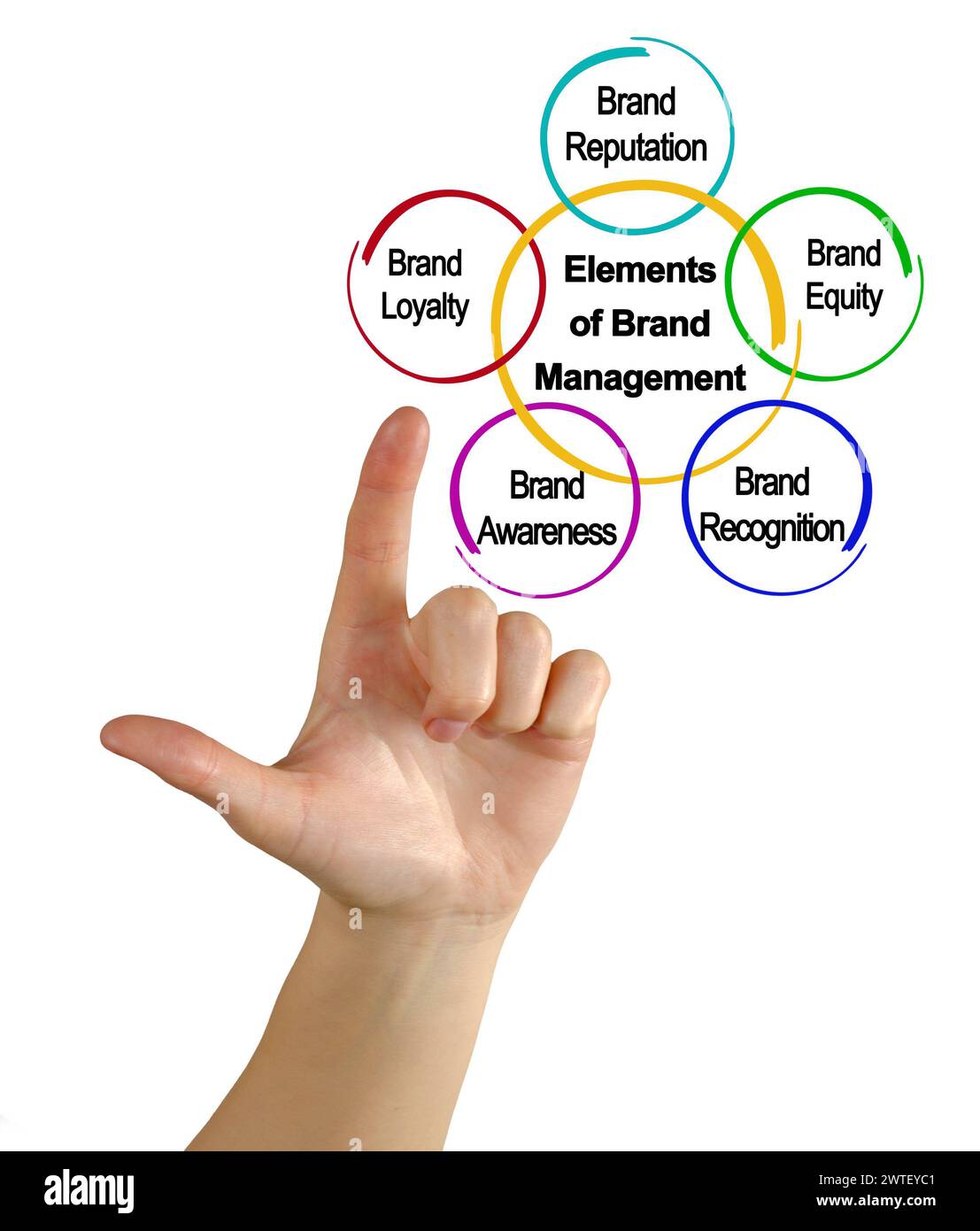 Five Components of Brand Management Stock Photo - Alamy