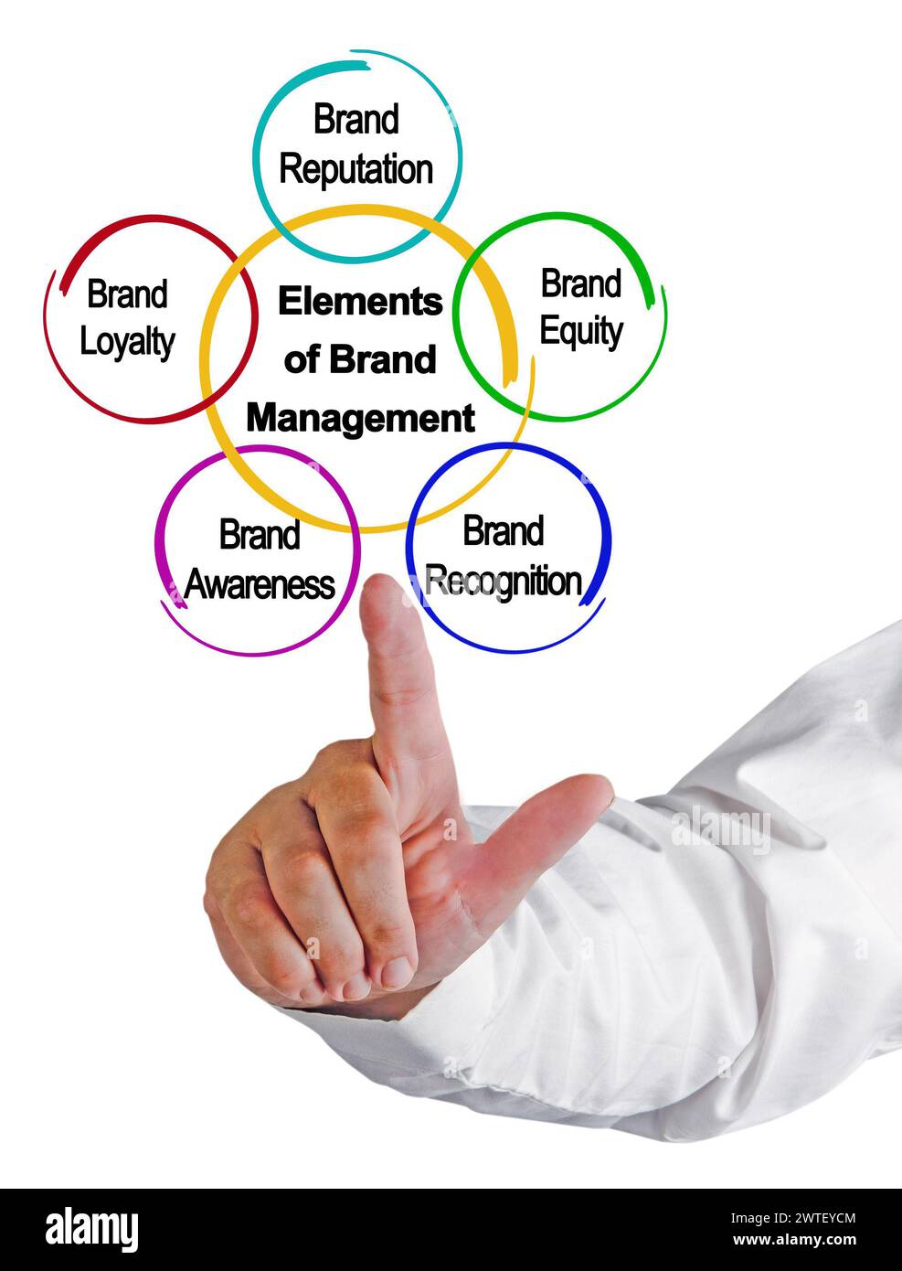 Five Components of Brand Management Stock Photo - Alamy