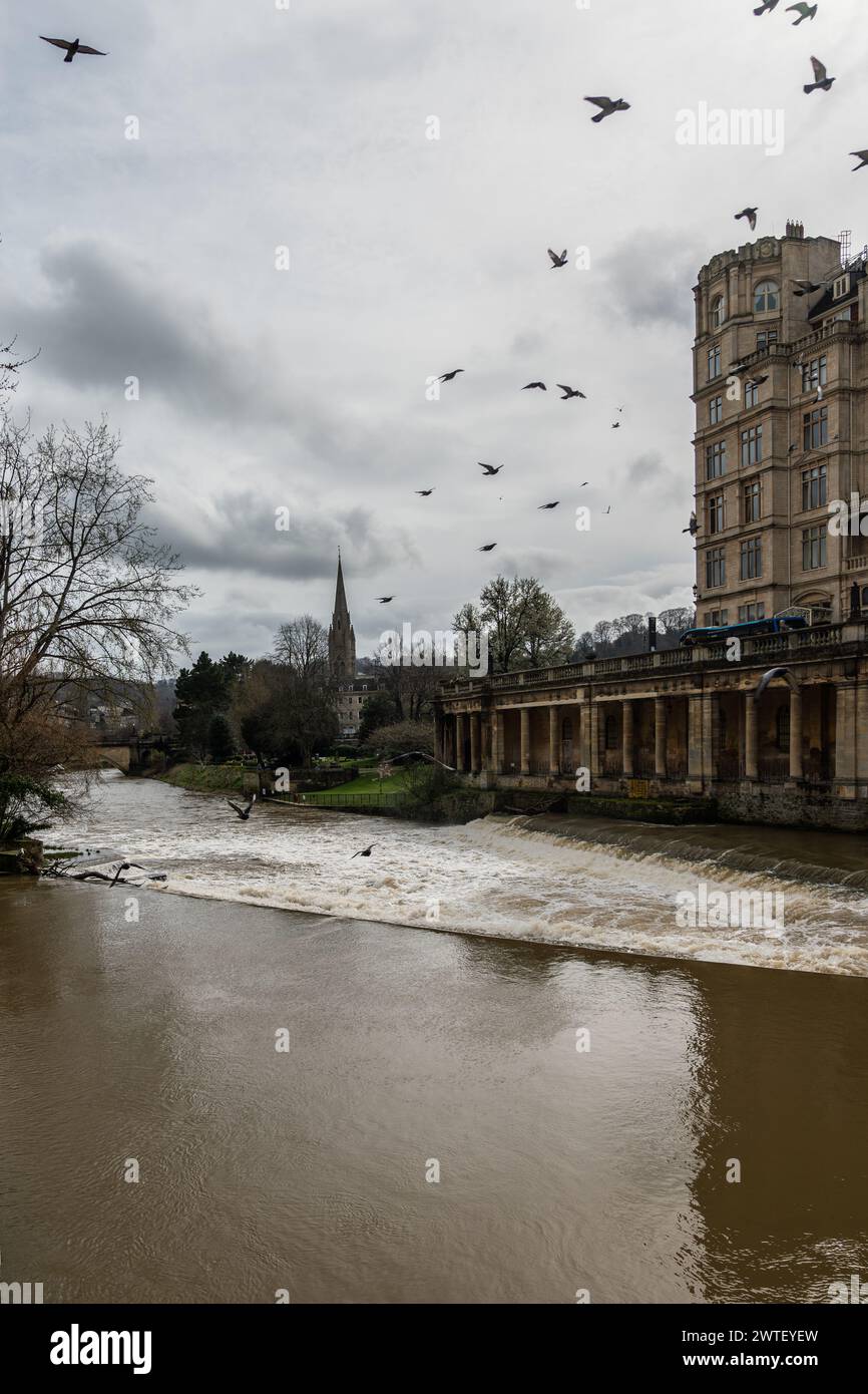 Birds soar above a flowing river with a backdrop of classic buildings ...