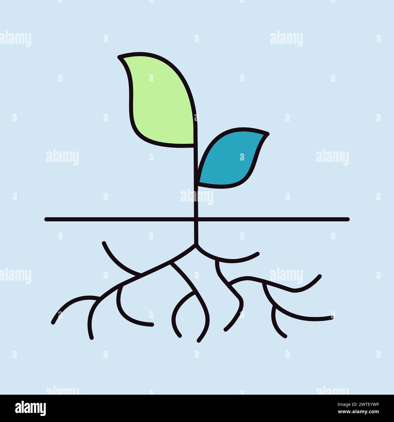 Visible root Stock Vector Images - Alamy