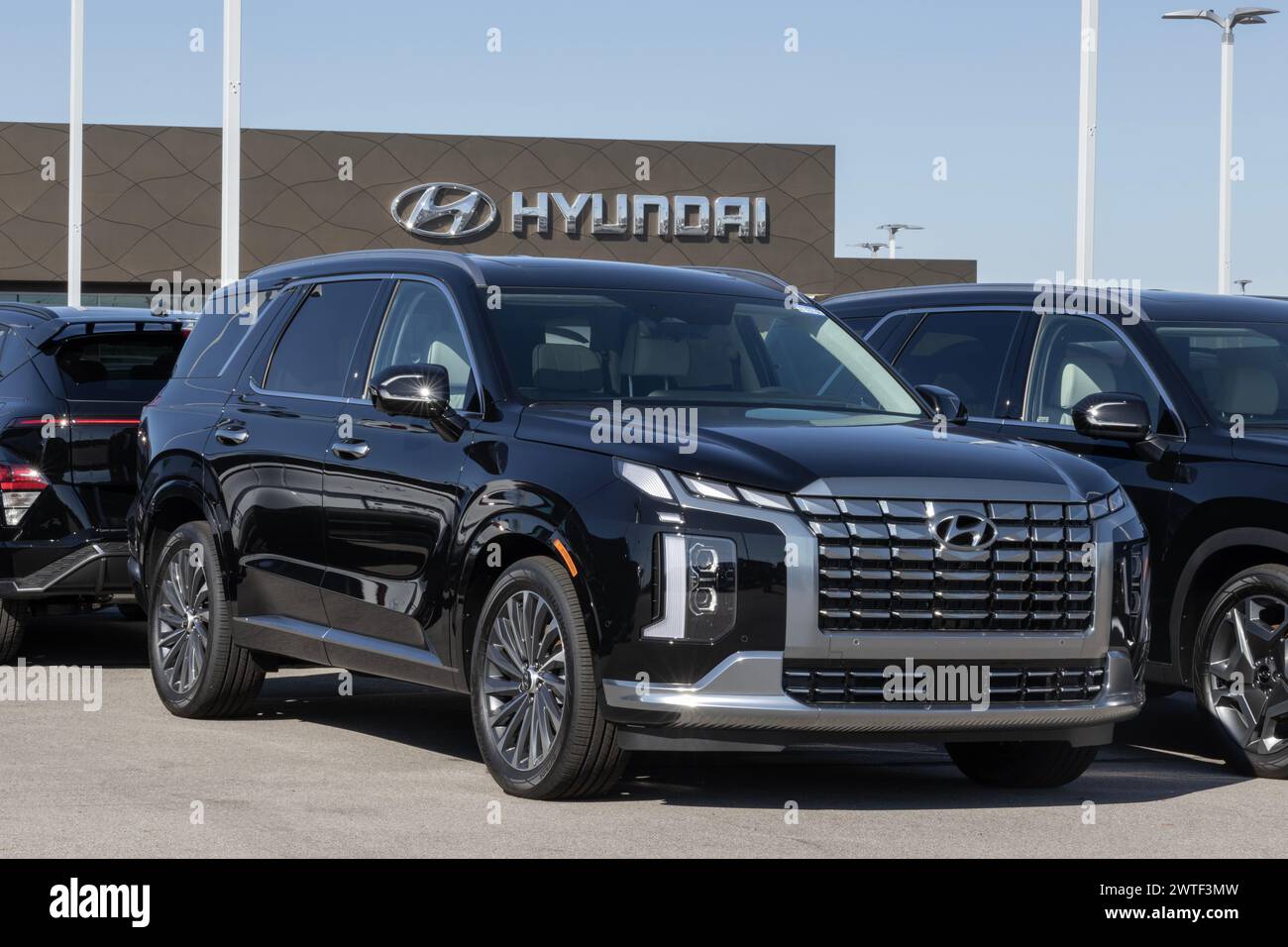 Greenwood - March 16, 2024: Hyundai Palisade Calligraphy display at a ...