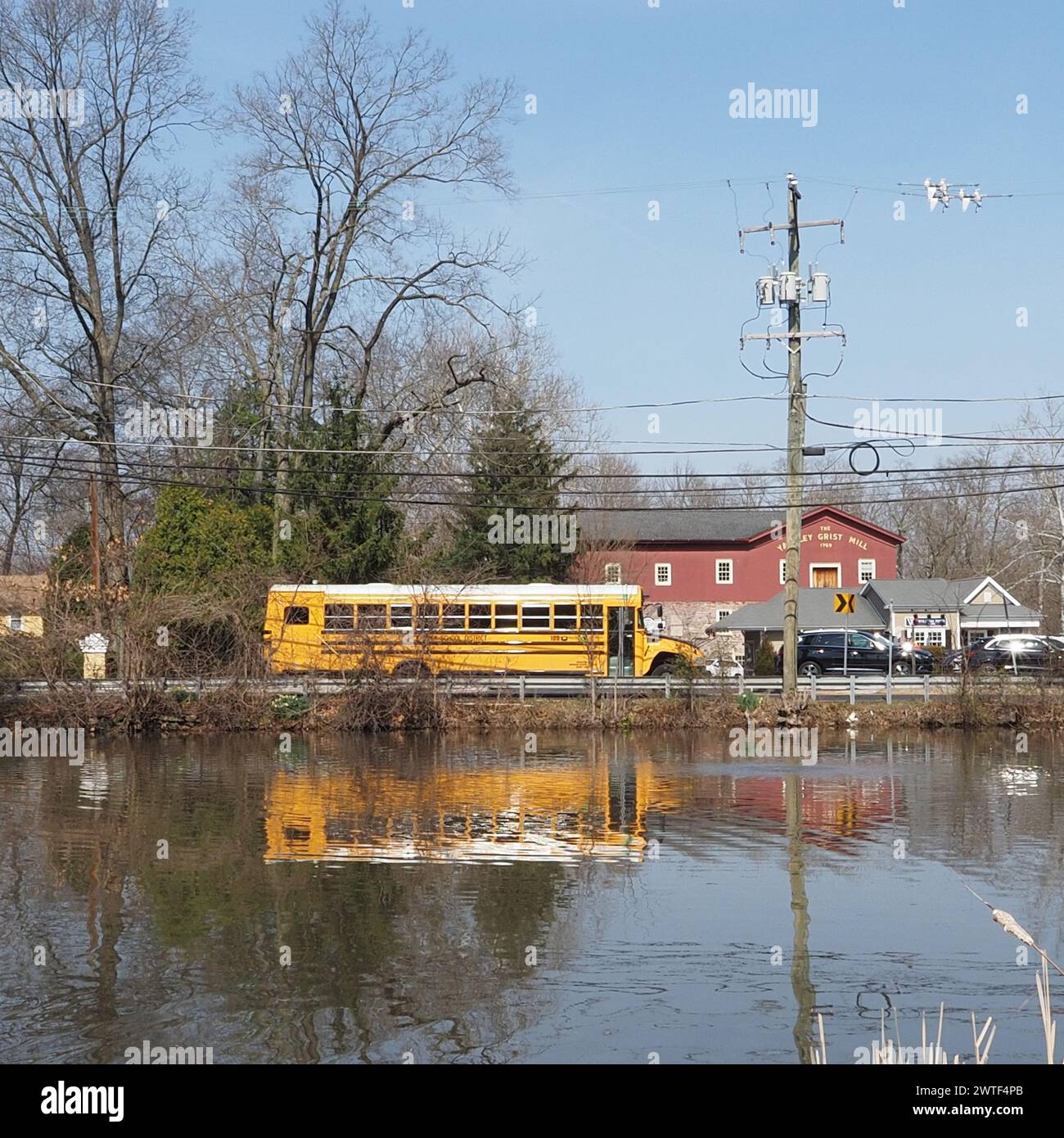 The yellow school bus drives past the lake Stock Photo - Alamy