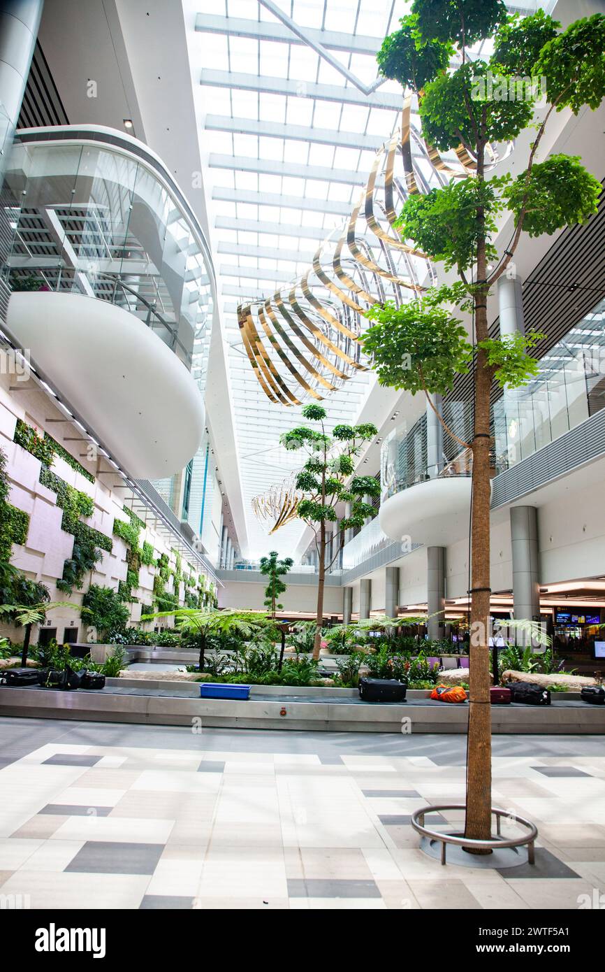 luggage claim area with tropical plants in airport Stock Photo - Alamy