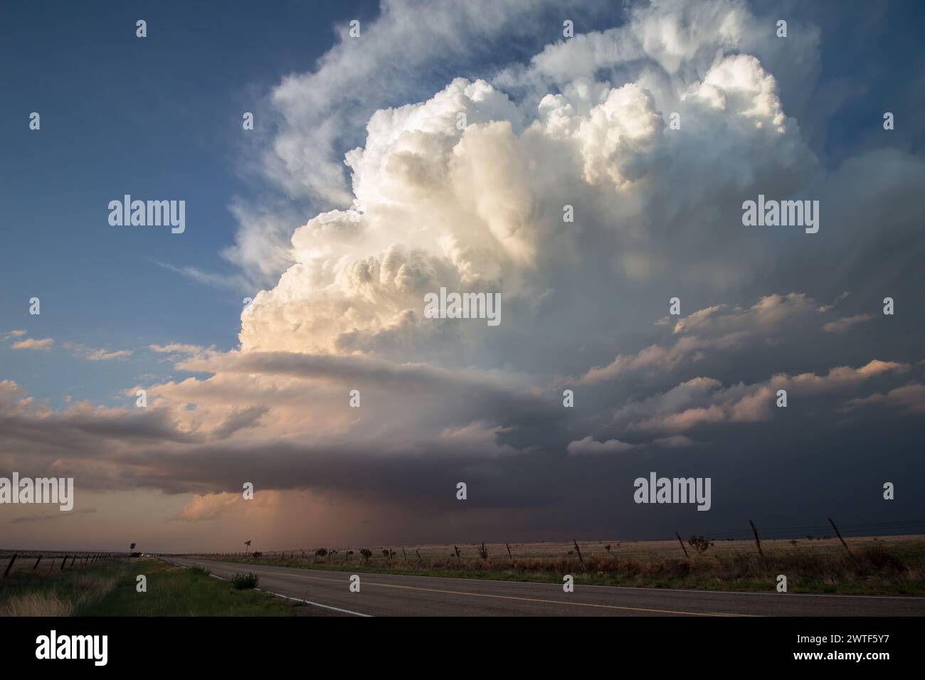 A cumulonimbus cloud or thunderstorm billows upwards into the blue sky ...