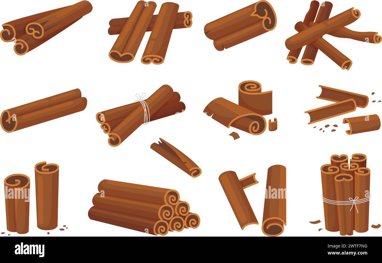Cartoon cinnamon sticks. Isolated spice, cinnamon bark organic elements ...