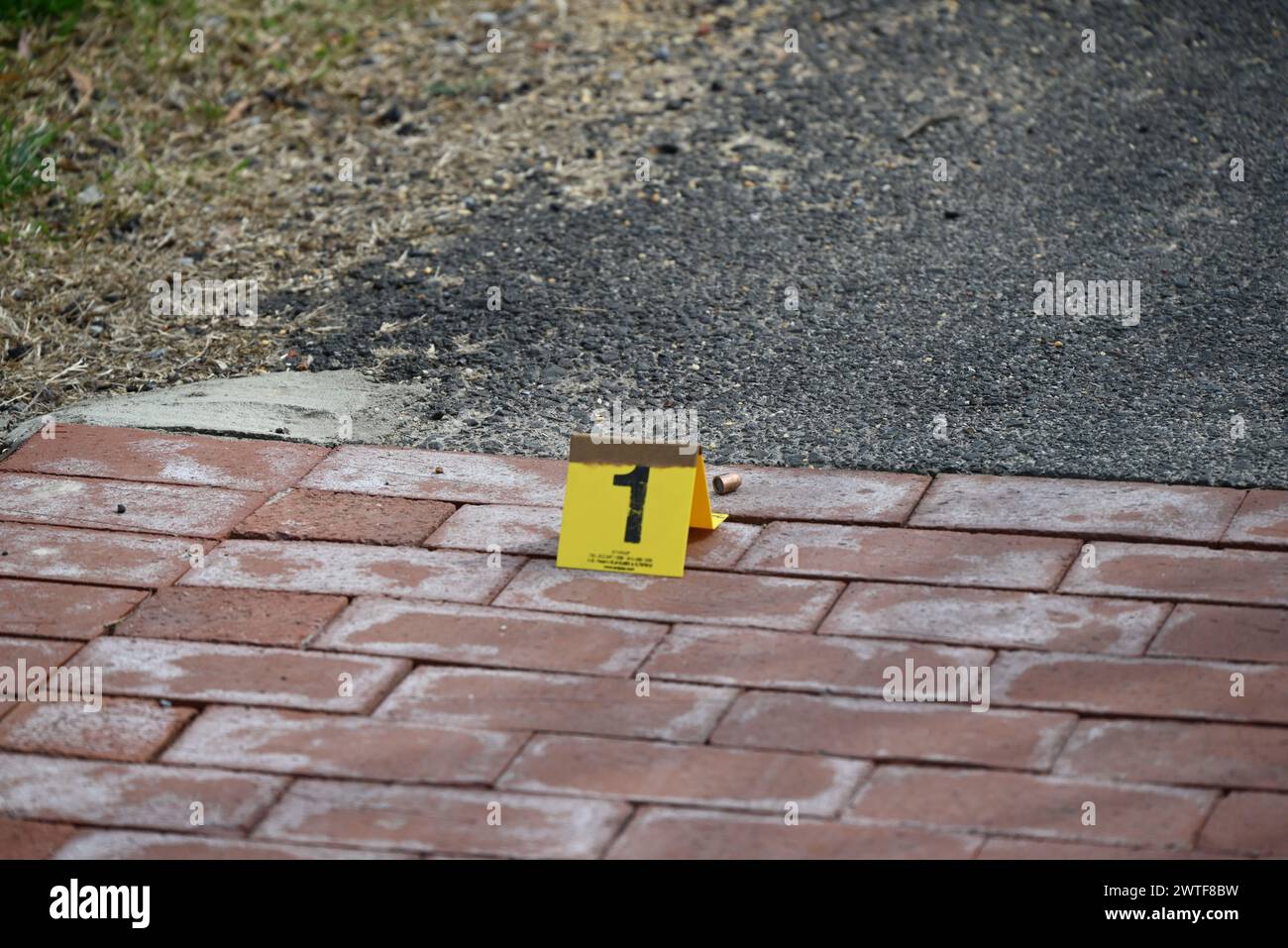 Washington, United States. 17th Mar, 2024. Shell casing seen on the ...