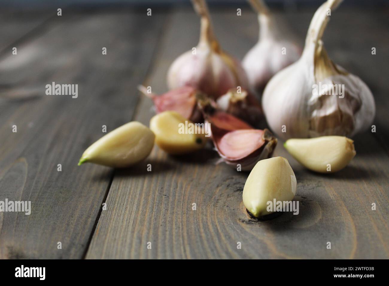 Peeled garlic cloves on gray background close-up. Spicy ingredients in ...
