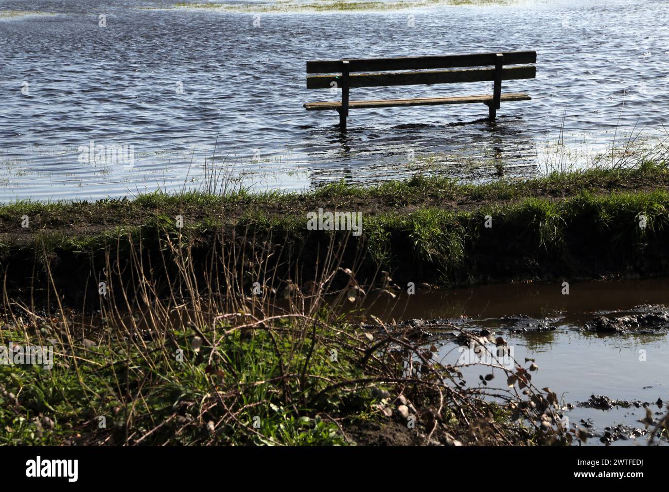 Bench in flood water hi-res stock photography and images - Alamy