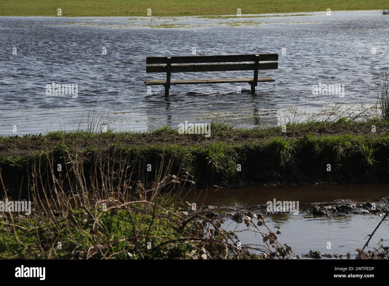 Bench in flood water hi-res stock photography and images - Alamy