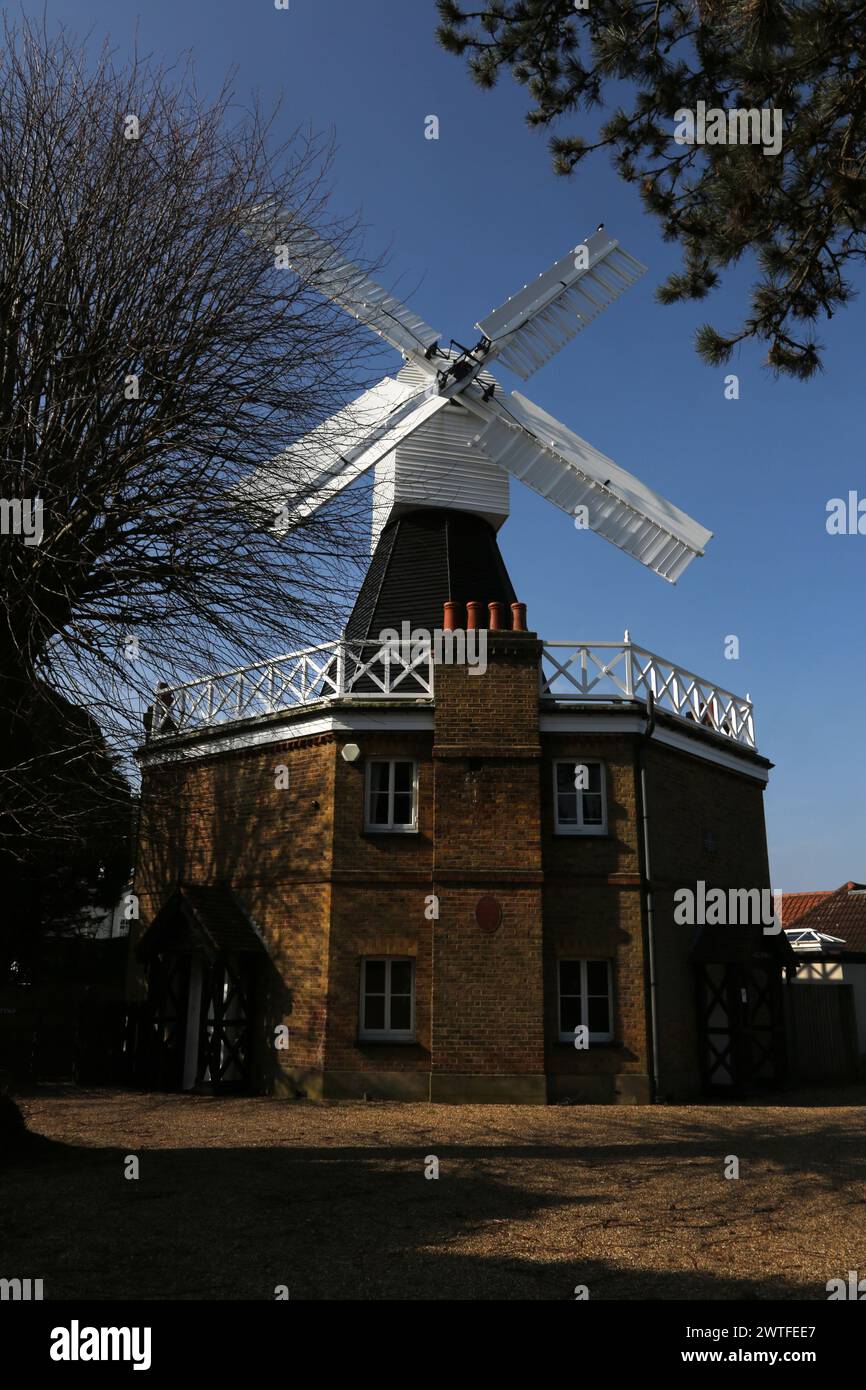 Wimbledon museum hi-res stock photography and images - Alamy