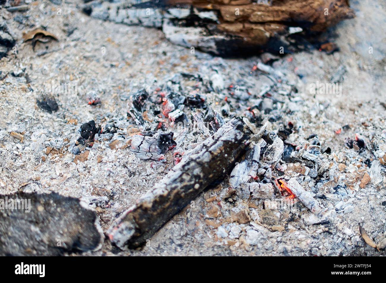 Ash and charcoal resulting from burning wood, with light smoke emerging ...