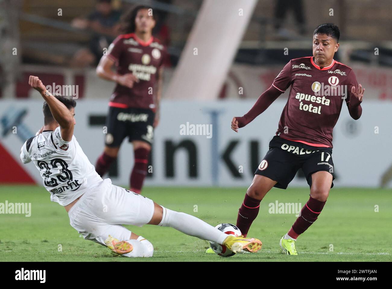 Concha de mar hi-res stock photography and images - Alamy