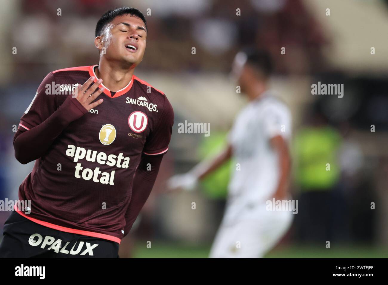 Concha de mar hi-res stock photography and images - Alamy