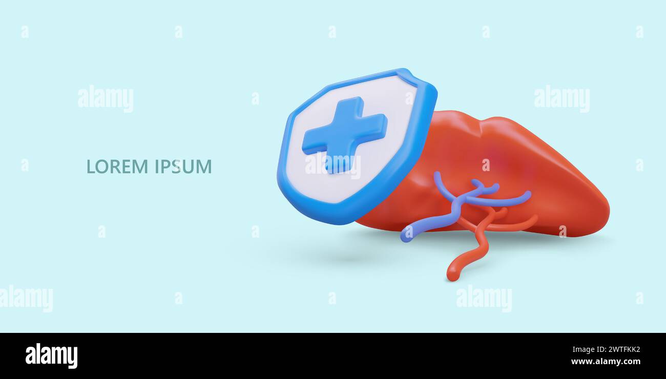 3d realistic internal organ spleen and medical shield with cross ...