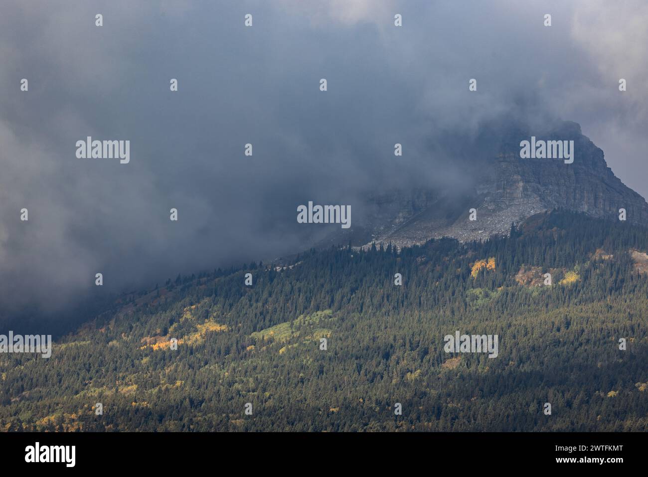 A mountain covered in trees with a cloudy sky in the background. The ...