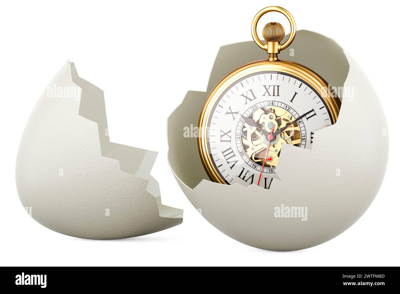 Pocket Watch inside broken chicken egg, 3D rendering isolated on white ...