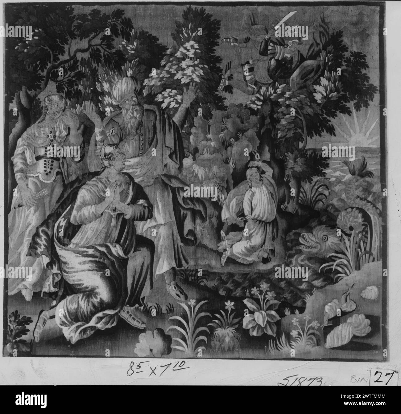 Perseus flies Black and White Stock Photos & Images - Alamy