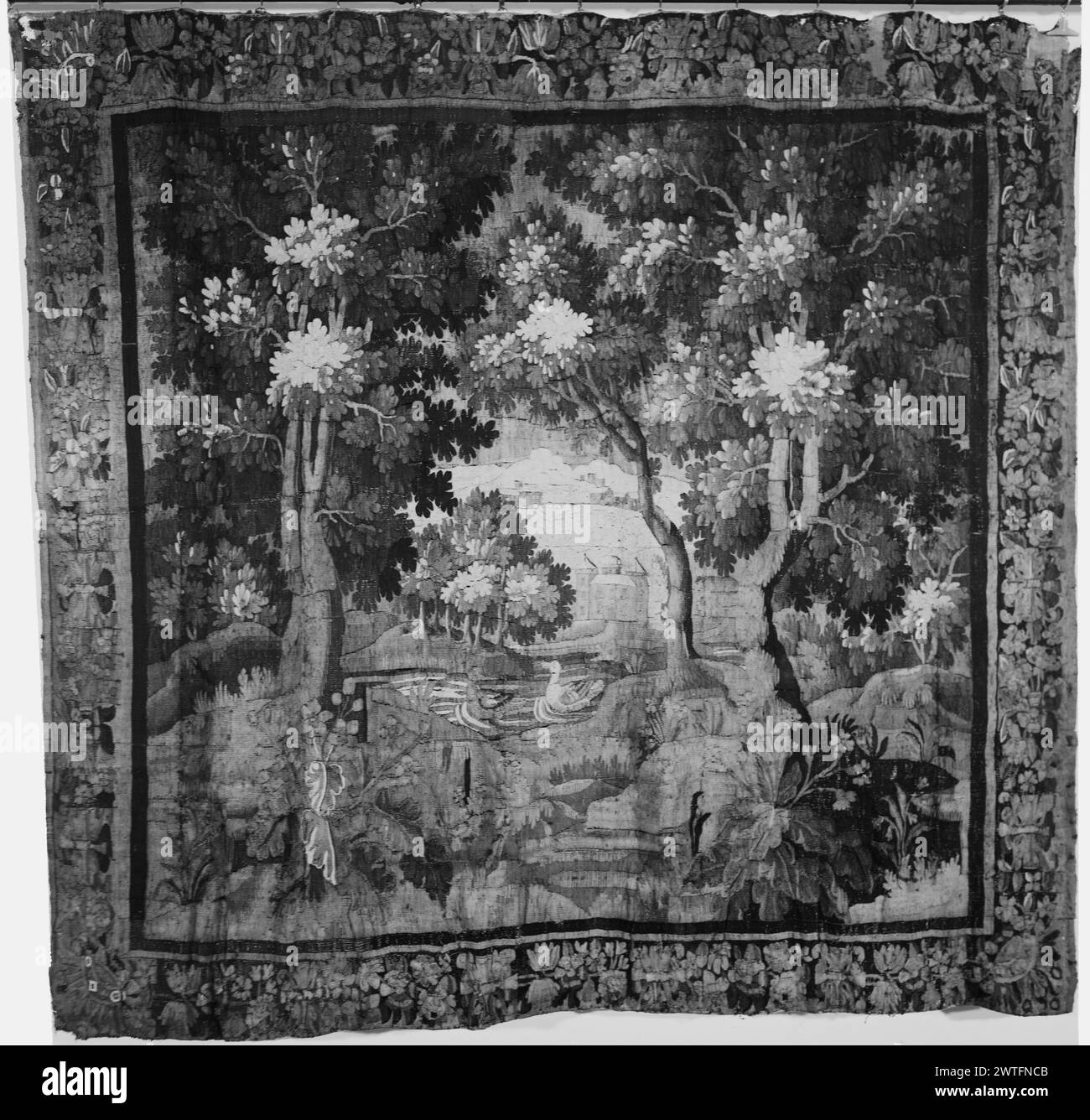 Oval shaped trees Black and White Stock Photos & Images - Alamy