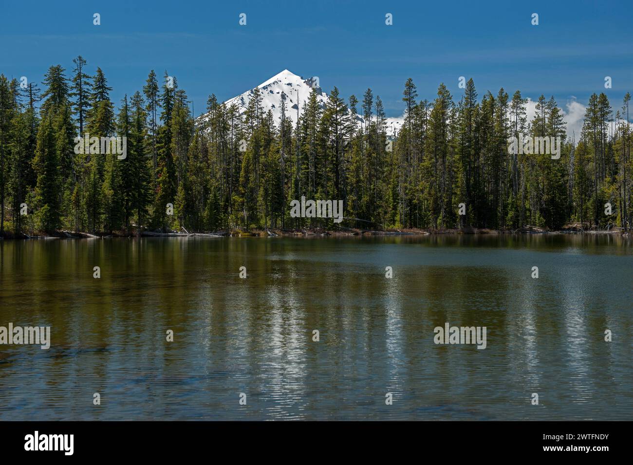 Lake bernice hi-res stock photography and images - Alamy