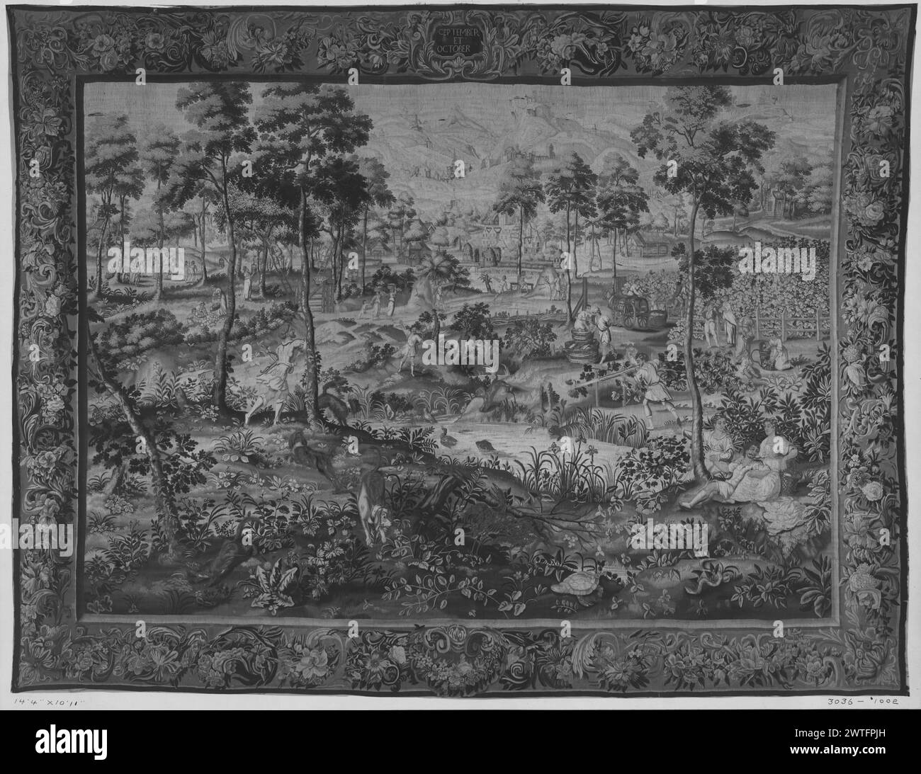 M greenery Black and White Stock Photos & Images - Alamy