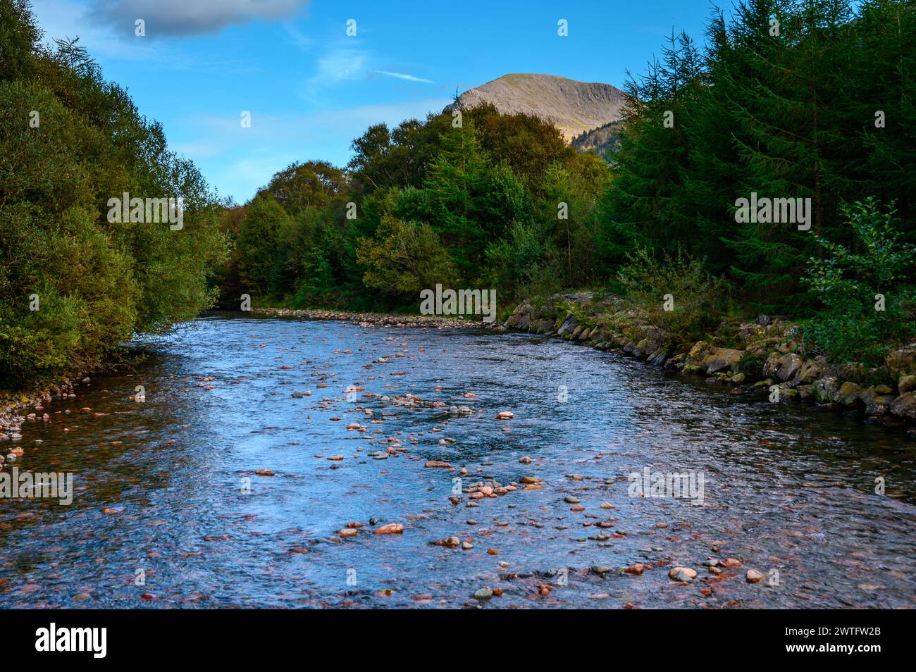 Liza hi-res stock photography and images - Alamy