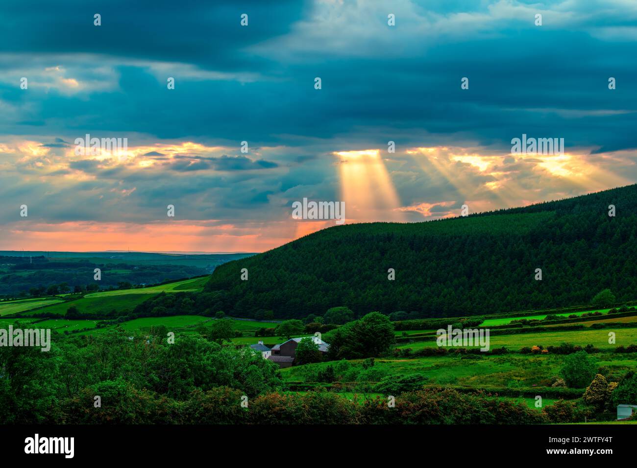 Sunbeams break through trees hi-res stock photography and images - Alamy