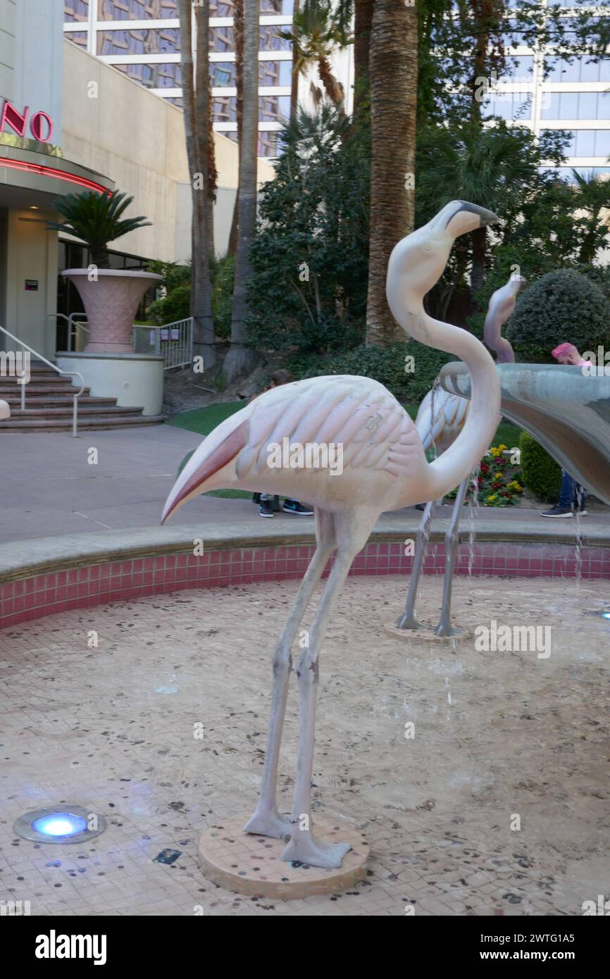 Las Vegas, Nevada, USA 8th March 2024 Flamingos Fountain in Wildlife ...