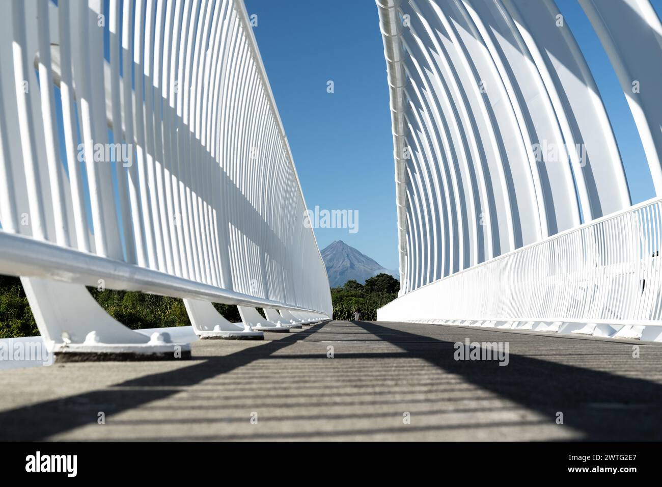White steel Te Rewa Rewa Bridge landmark on Coastal Walkway in New ...