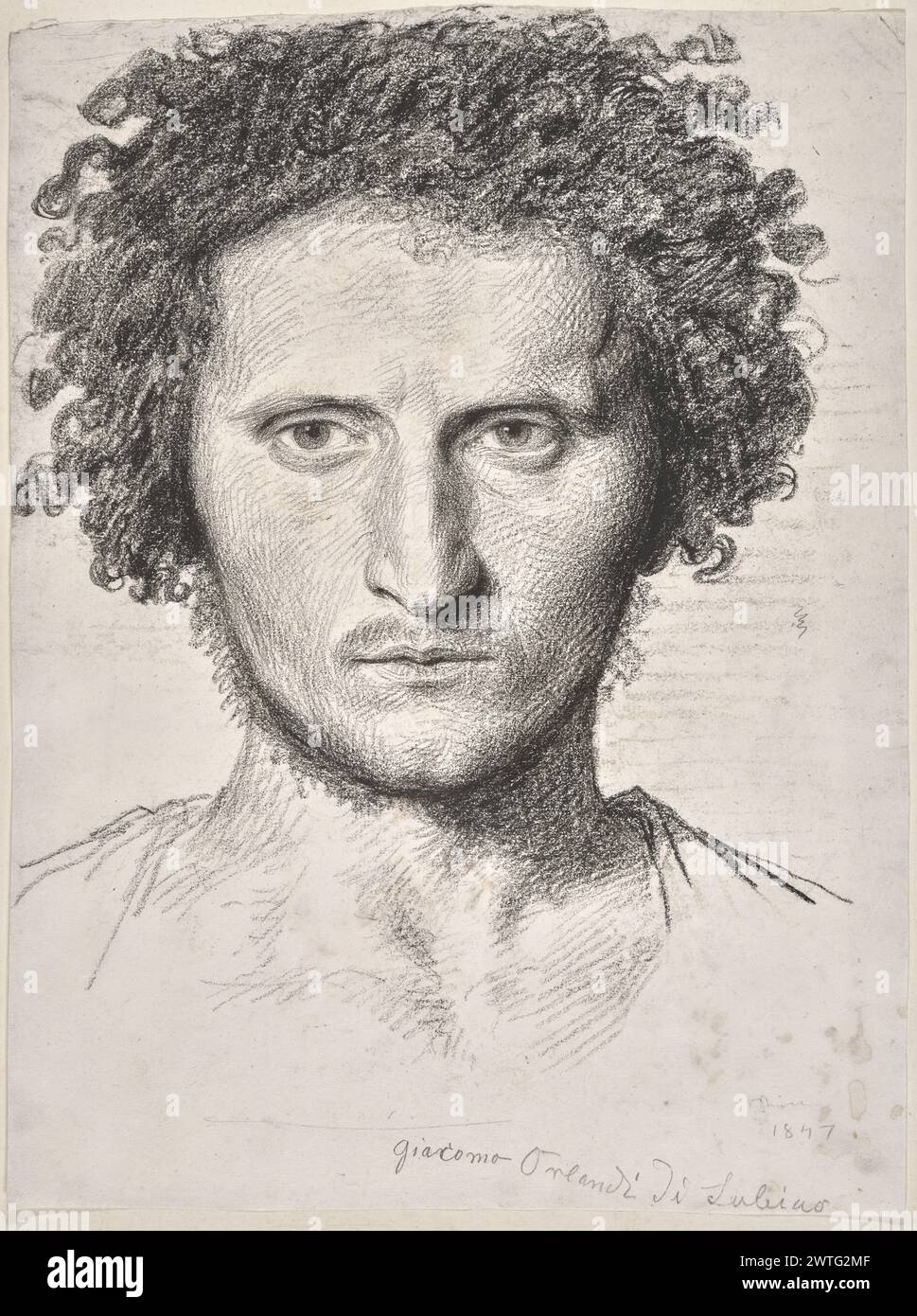 Aquiline nose hi-res stock photography and images - Alamy